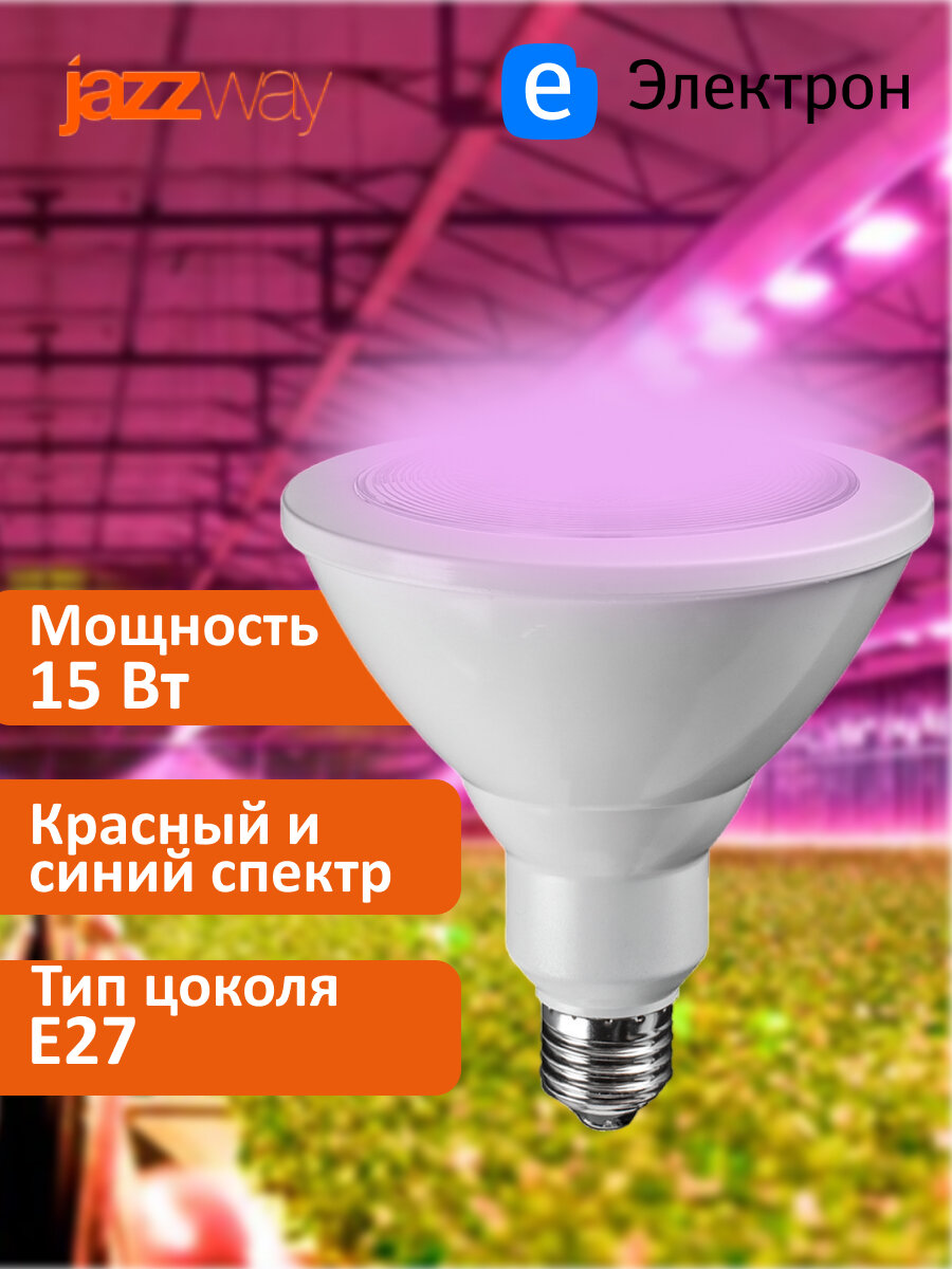 Фито лампа светодиодная для растений цветов и рассады Jazzway PPG Agro 15Вт E27 фиолетовое свечение .5004702