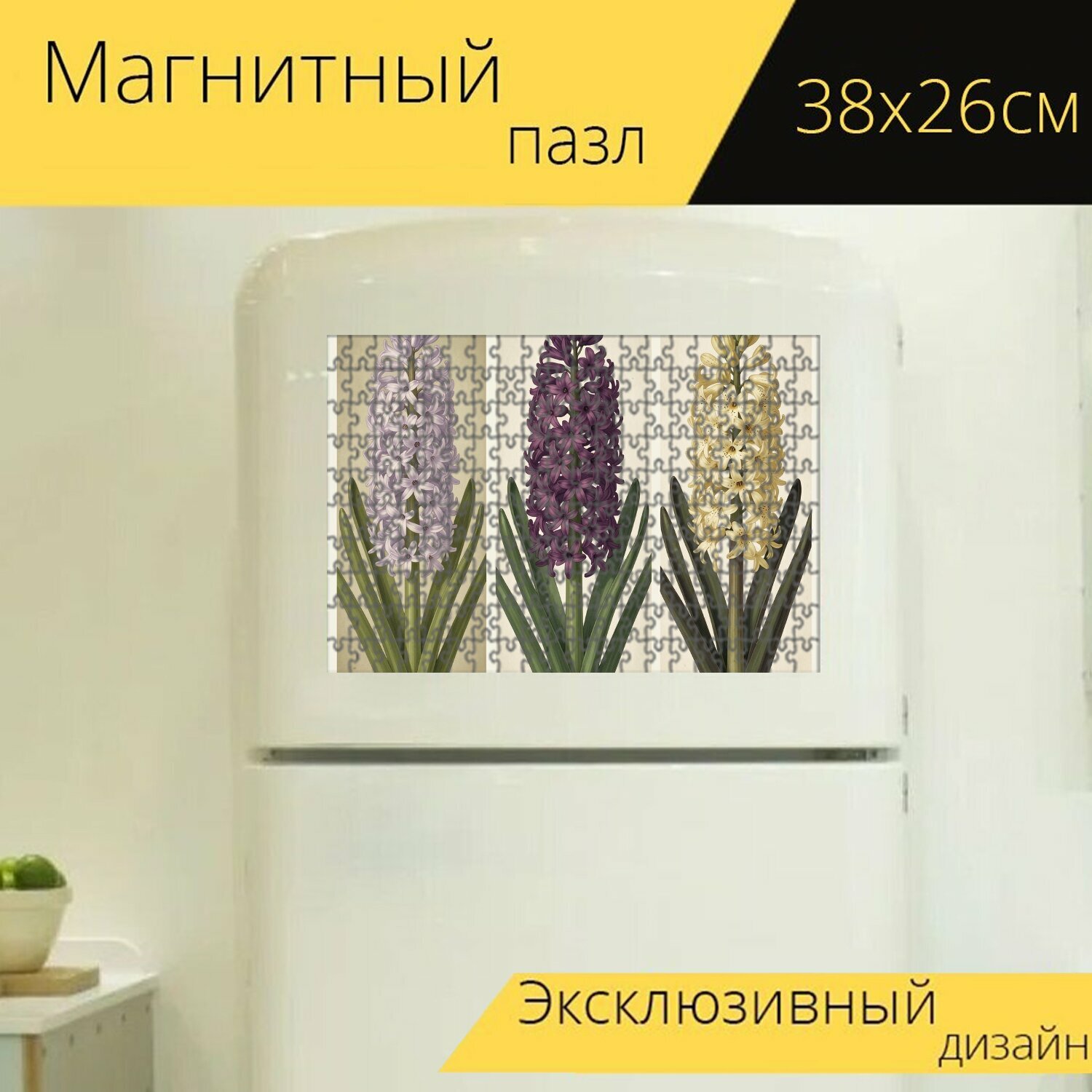 Магнитный пазл "Три цветущих гиацинта. Триптих с изящными весенними соцветиями в пастельной, фиолетово-кремовой гамме, ботаническая иллюстрация с мягким." для интерьера, 38х26 см.