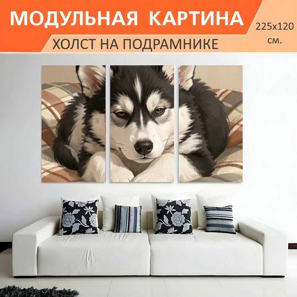 Модульная картина на холсте "Хаски на клетчатой подушке. Пушистый северный пёс с чёрно-белой шерстью лежит в уютной позе на мягком." триптих на подрамнике 225х120 см. для интерьера
