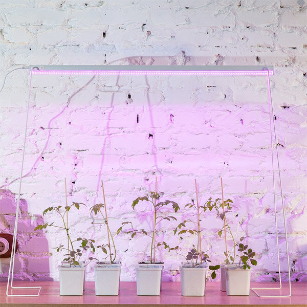 Фитосветильник 24W UL-00008921 ULI-P21-24W-SPSB WHITE линейный 872мм. спектр для рассады и цветения IP40