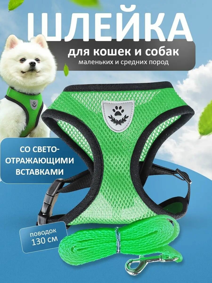 Шлейка прогулочная с поводком для кошек и мелких собак, деним, светоотражатели,