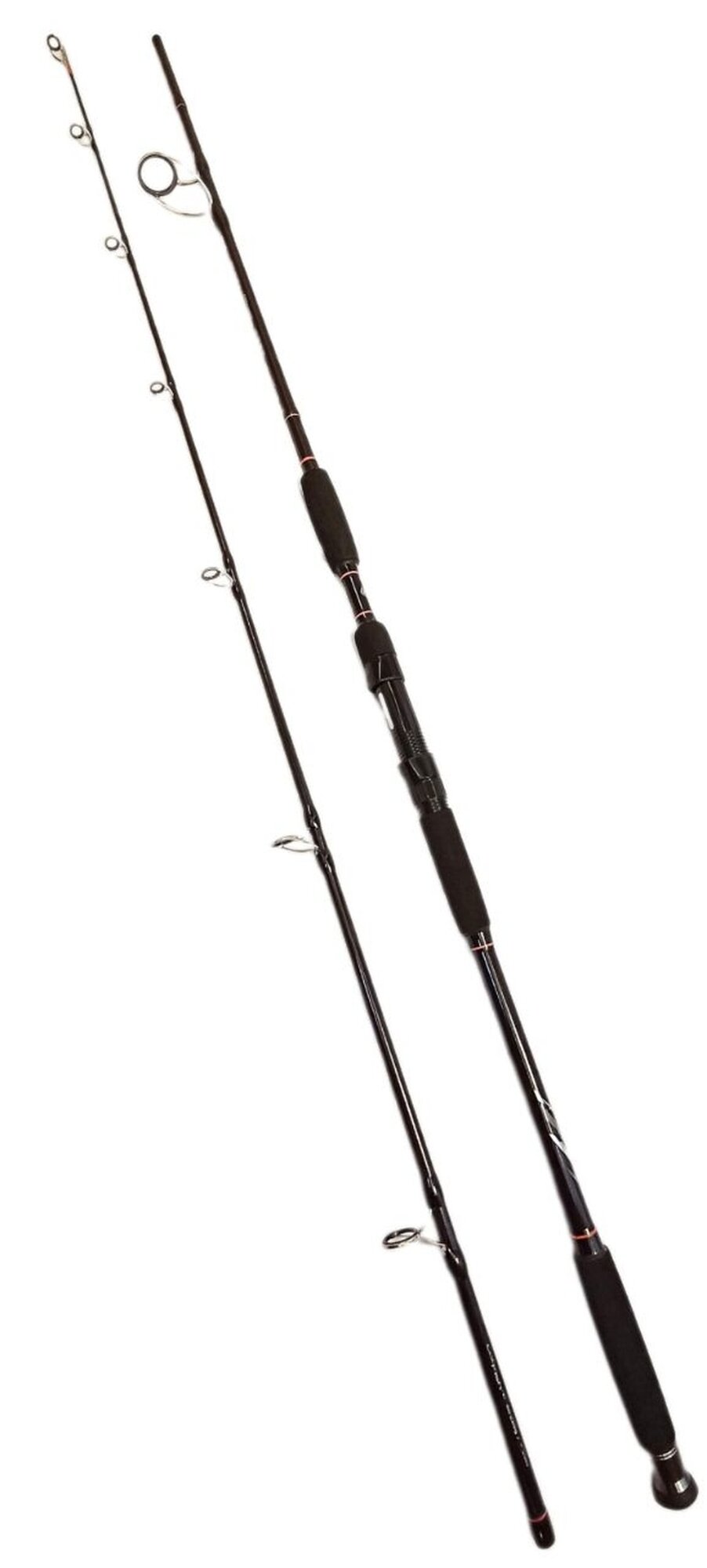 Спиннинг на сома/карпа Cat Fish Dayo тест 80-200 гр длина 255 см