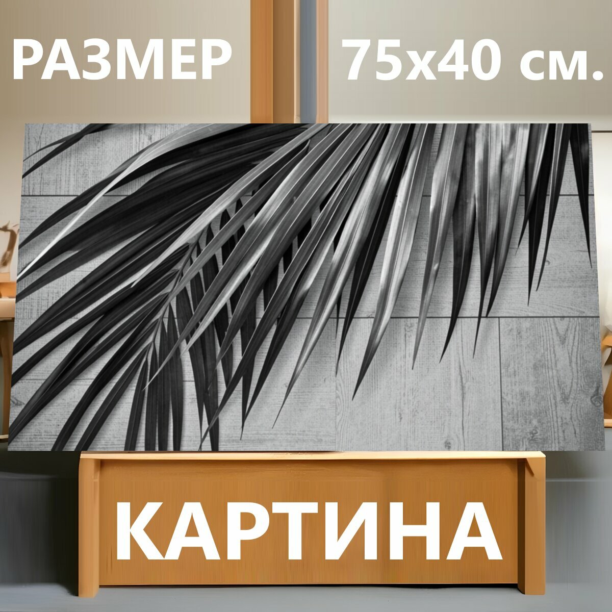 Картина на холсте "Тропические листья на сером фоне. Изящные длинные пальмовые листья в черно-белой гамме на фоне светлой деревянной фактуры." на подрамнике 75х40 см. для интерьера