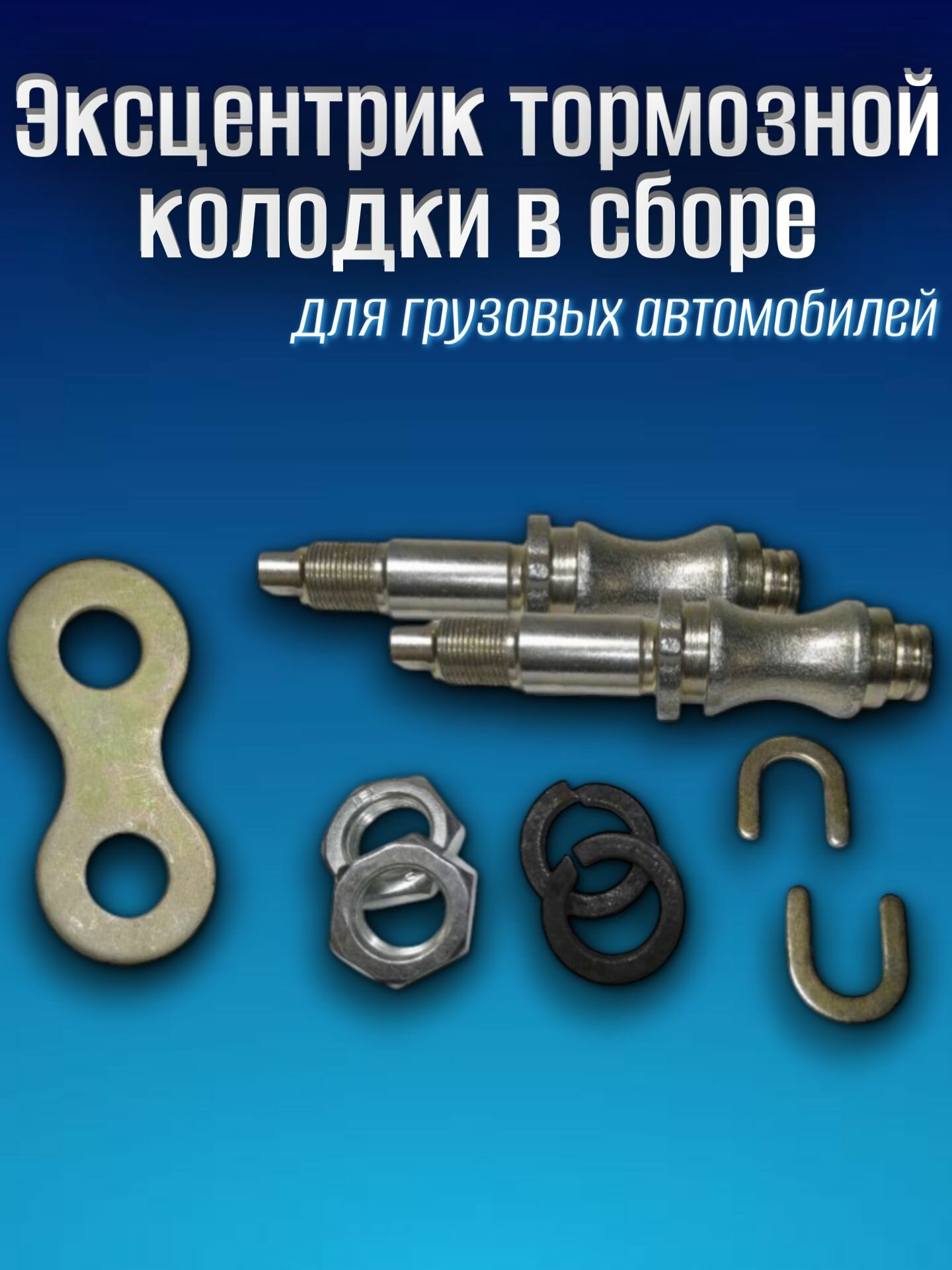 Эксцентрик тормозной колодки в сборе (ремкомплект)/ Pantus