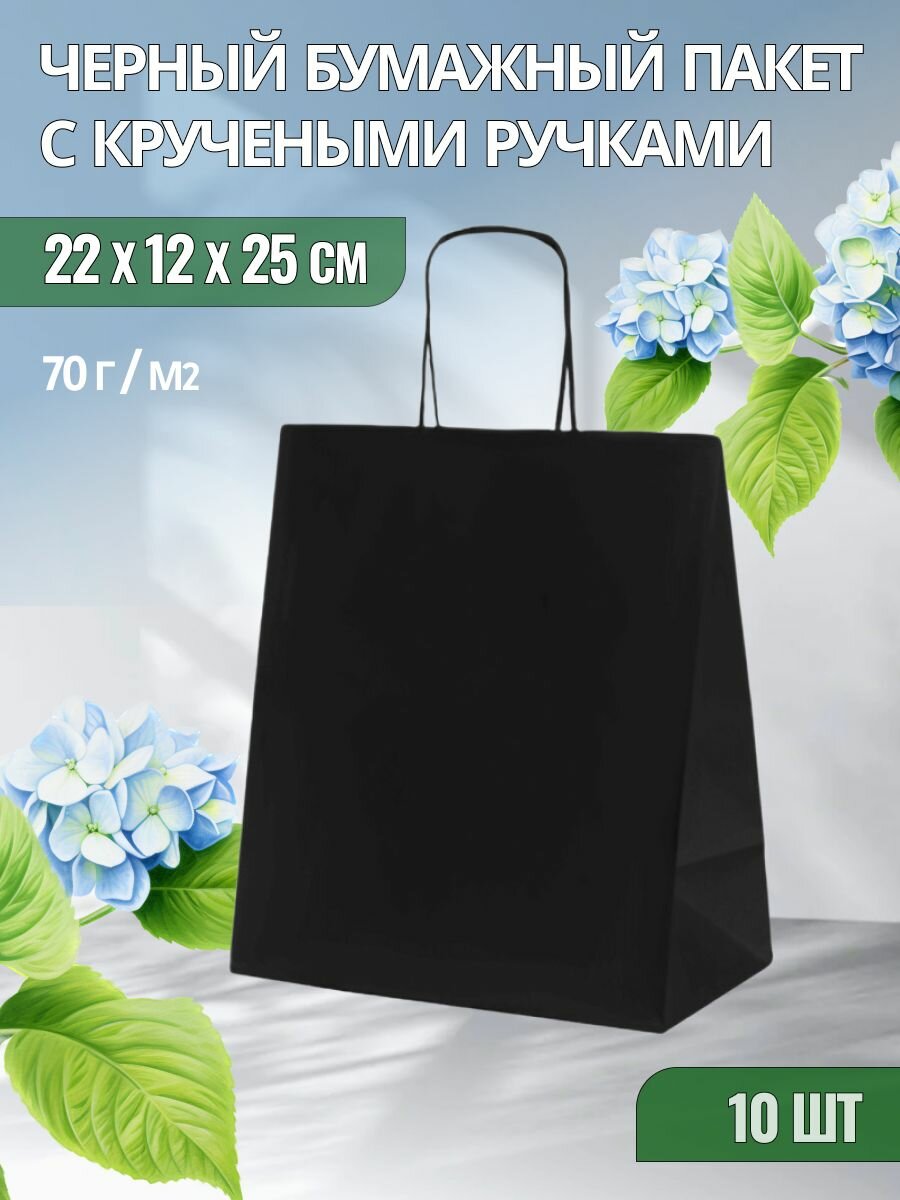 Пакет бумажный с кручеными ручками 22х12х25см 70г/м2 цвет Черный 10шт
