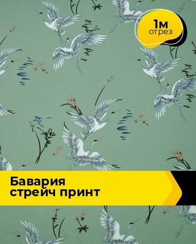 Ткань для шитья и рукоделия "Бавария" стрейч принт, отрез 1 м * 148 см, цвет мультиколор