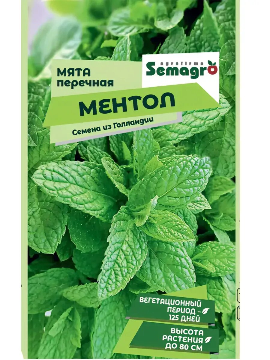 Семена мята перечная Ментол