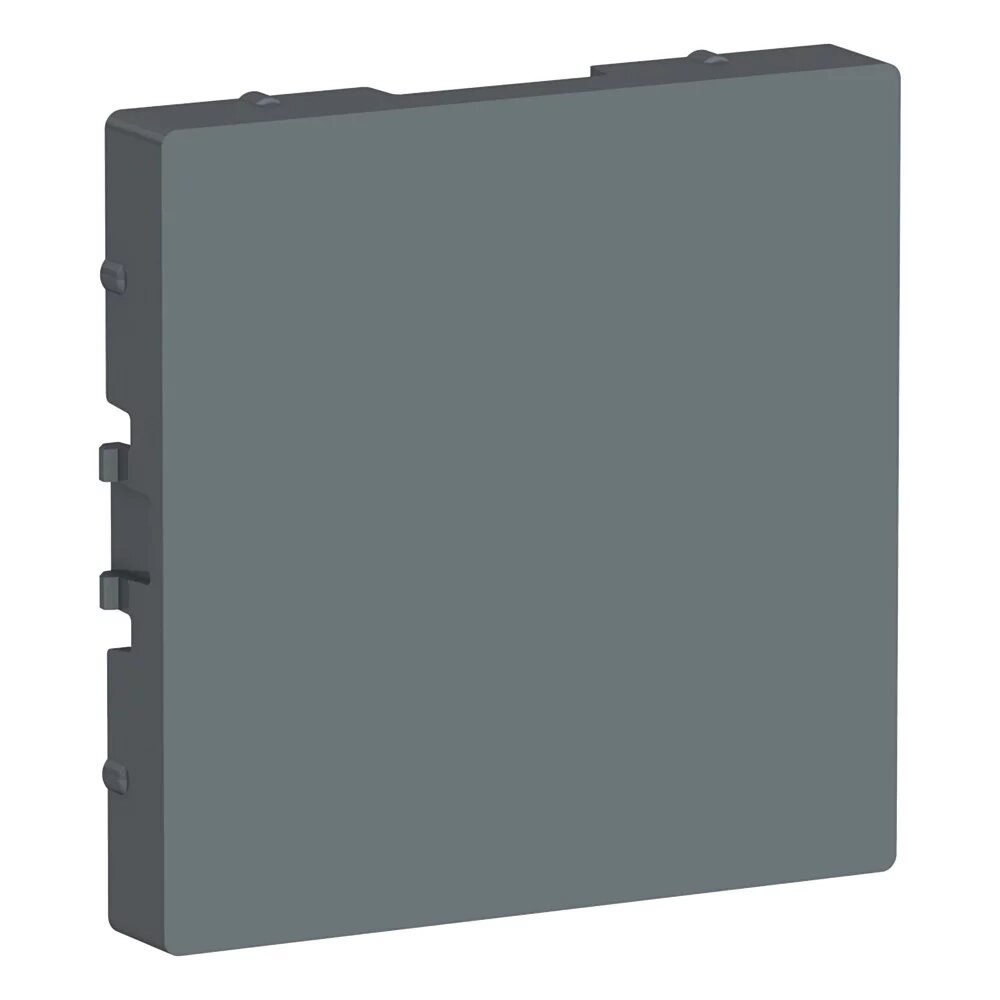 Заглушка для рамок Systeme Electric AtlasDesign, цвет Грифель