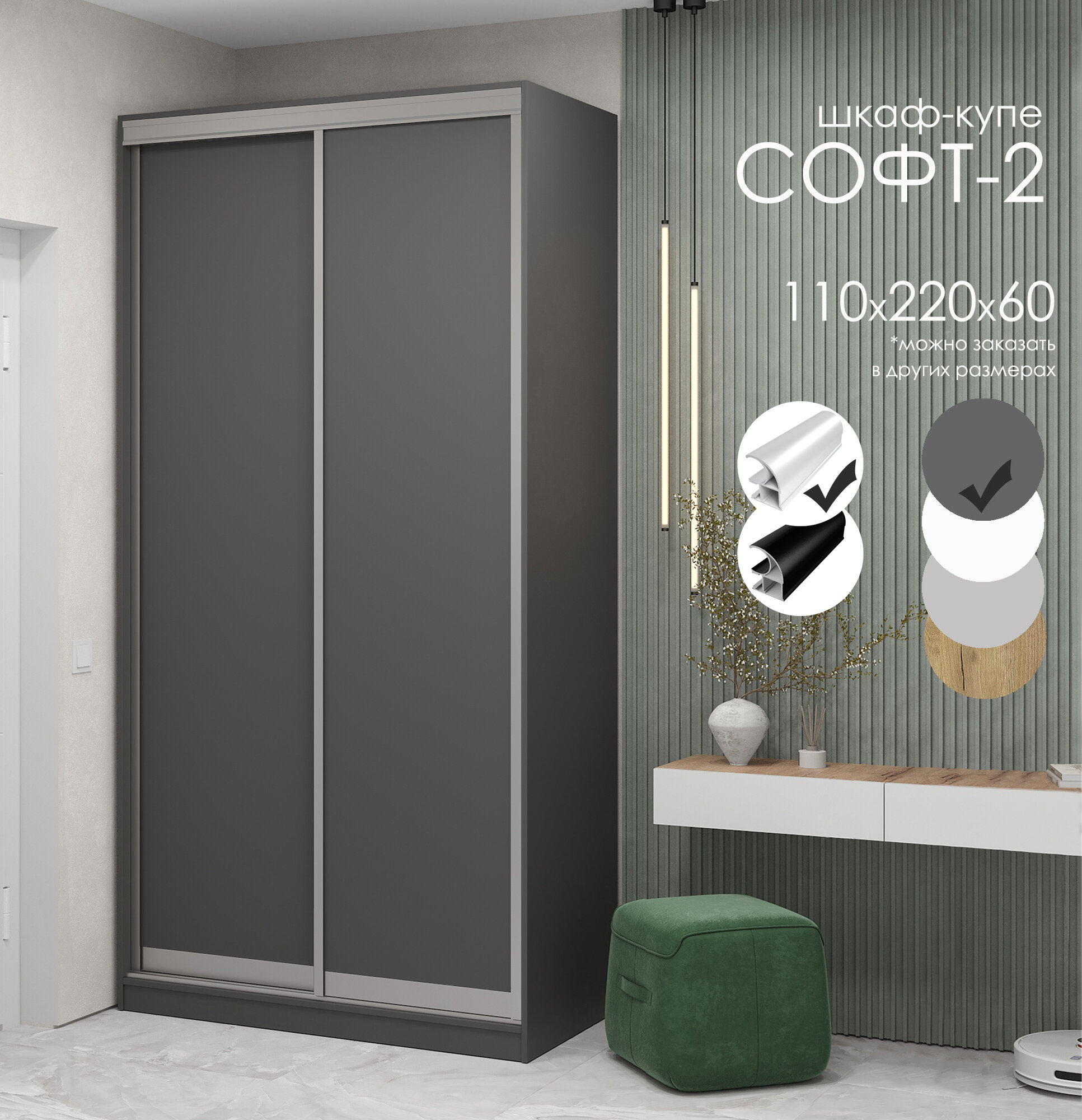 Шкаф-купе СОФТ-2, 110*220*60, графит, серебро матовое, без зеркала, платье/белье