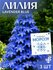 Луковицы лилий LAVENDER BLUE