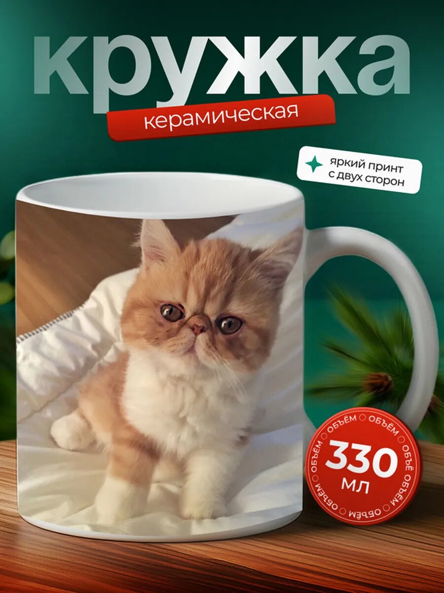 Кружка Иранский персидский кот 20,