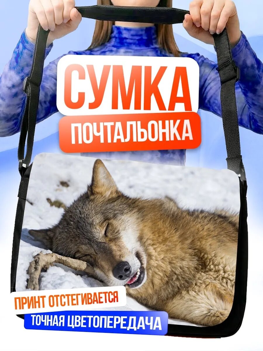 Сумка Спящий волк на снегу