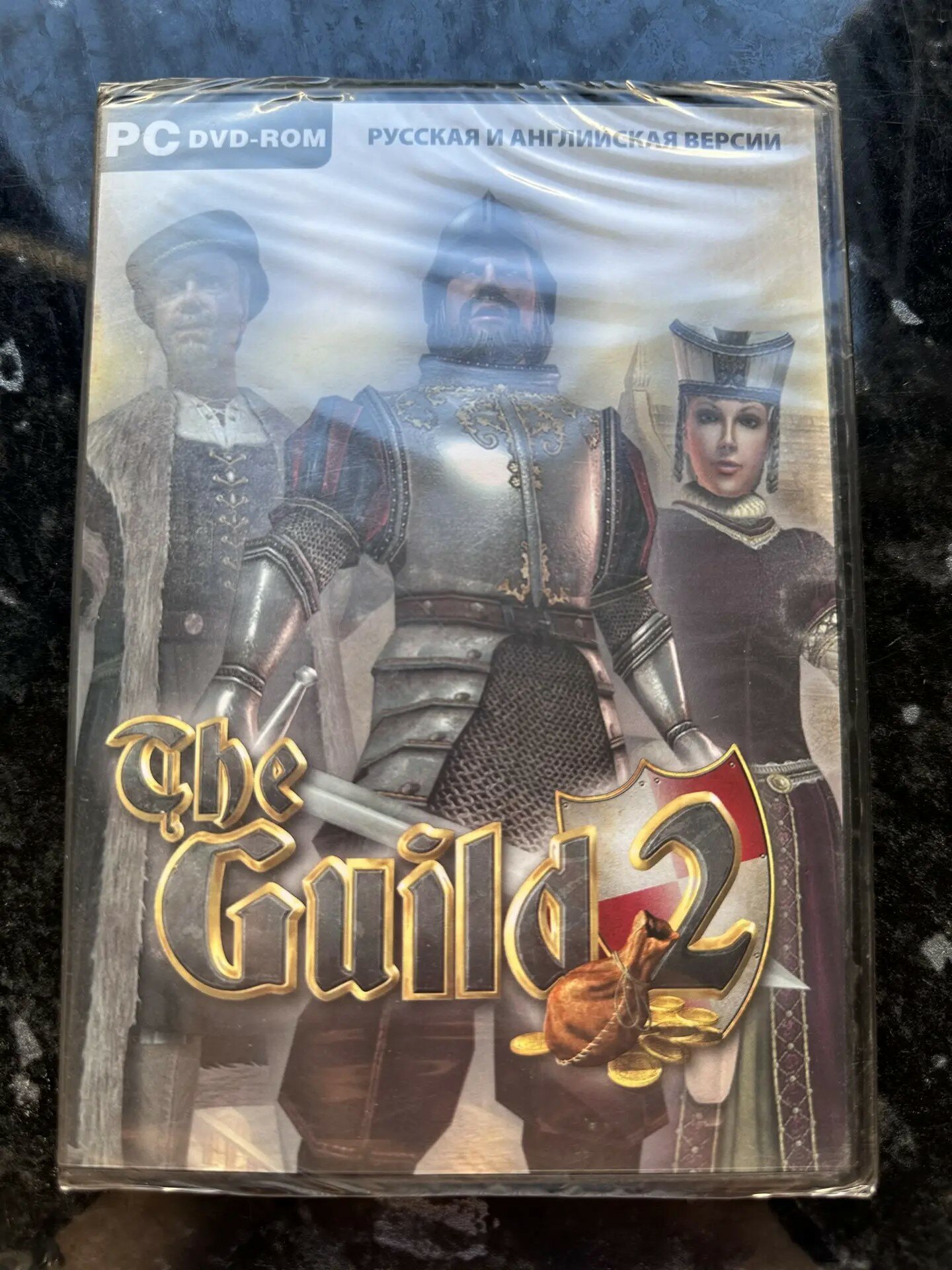 The Guild 2 игра