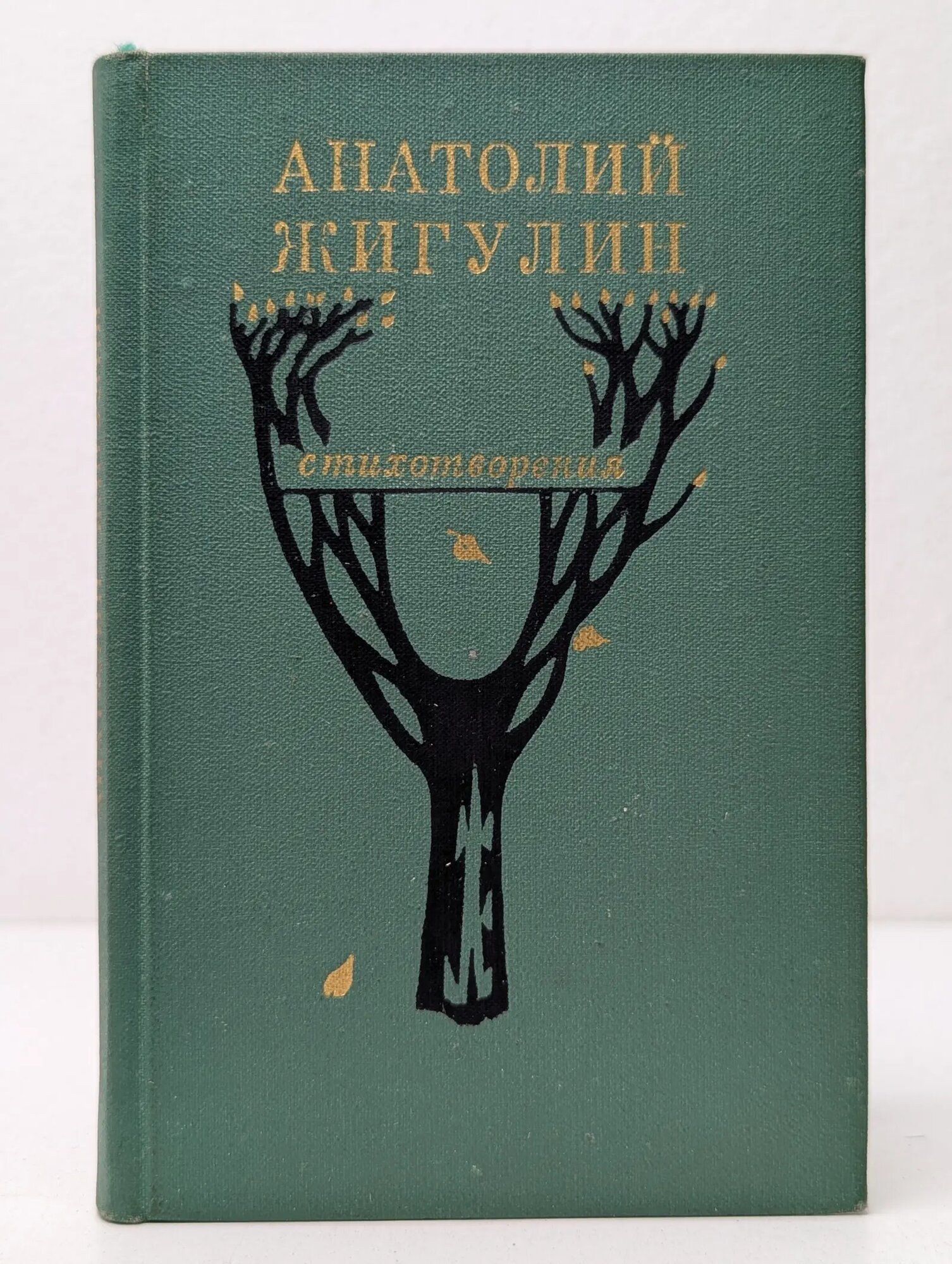Анатолий Жигулин. Стихотворения Жигулин Анатолий Владимирович 1976