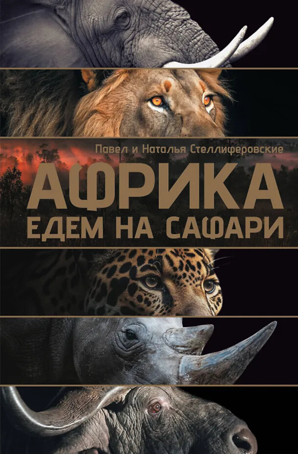 Африка. Едем на сафари. Стеллиферовская Н. В, Стеллиферовский П. А.