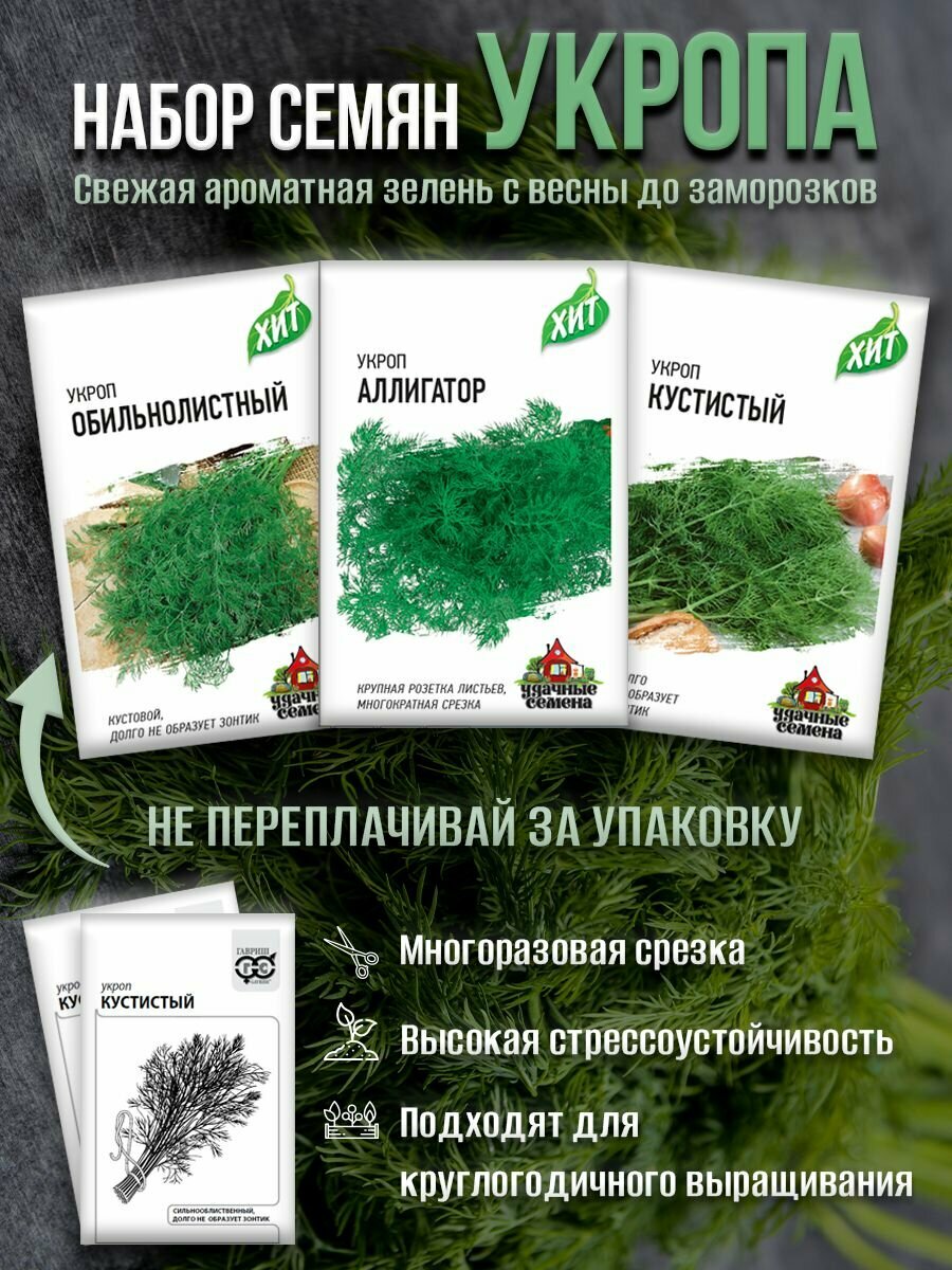 Семена укропа для посадки , Кустистый , Аллигатор , Обильнолистный укроп для посадки семена укропа кустовой