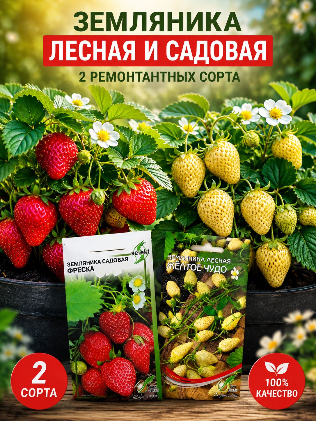 Семена клубники и земляники ремонтантной Фреска, Жёлтое чудо, набор 2 сорта для сада и дачи, Сортсемовощ