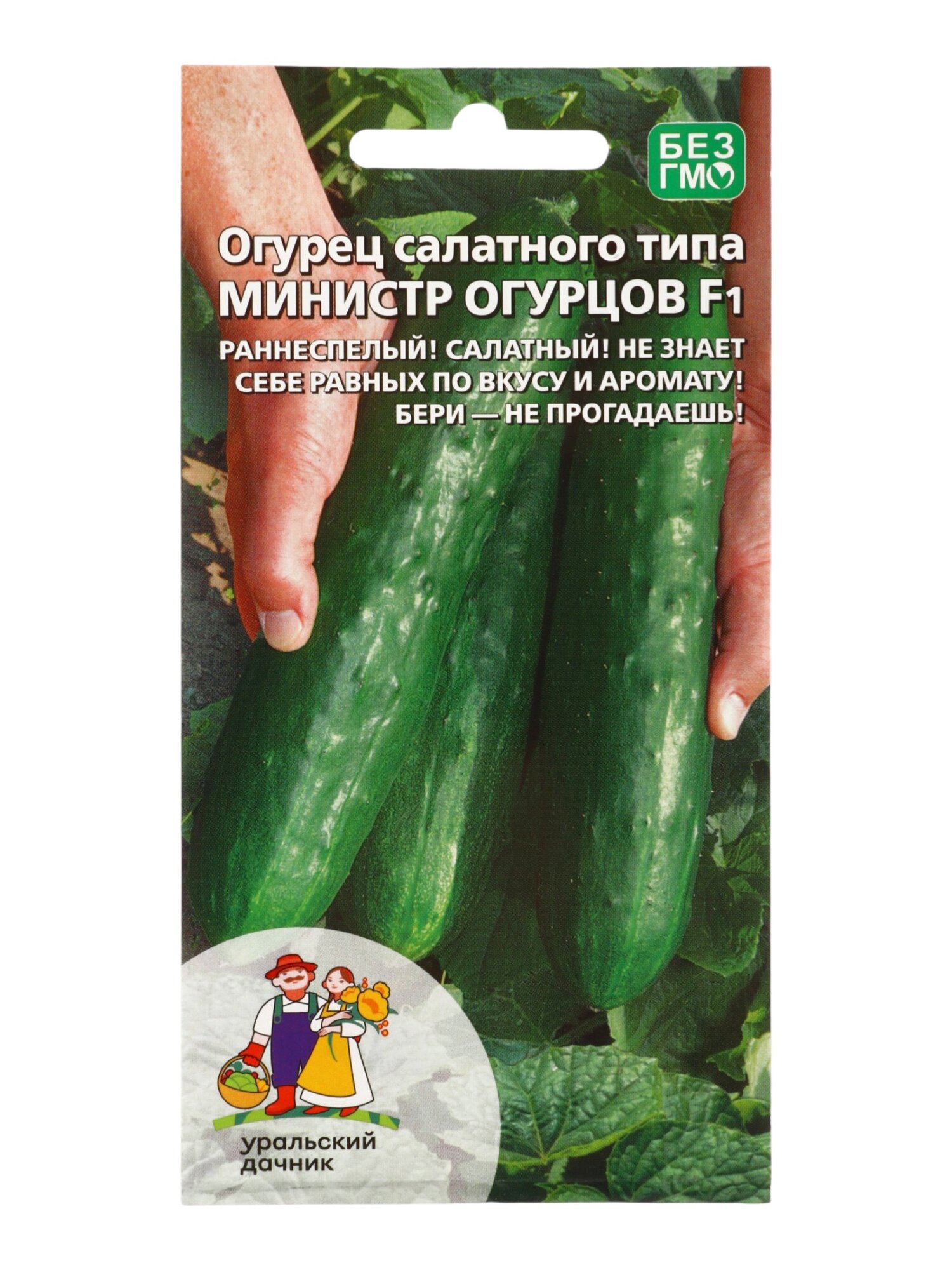 Салатного огурец типа «Министр огурцов», семена, 10 шт, «Уральский Дачник»