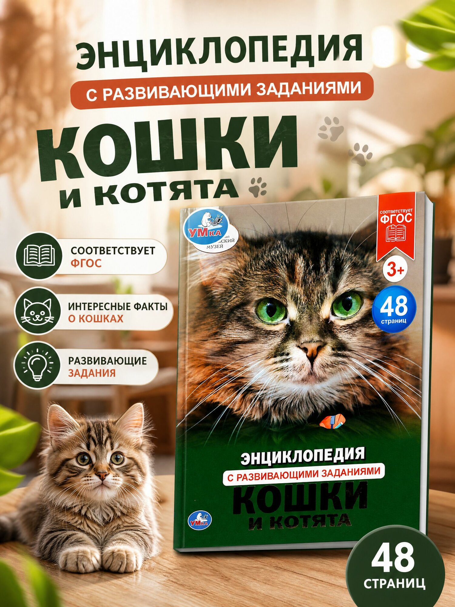 Энциклопедия для детей Кошки и котята Умка | Хомякова Кристина Викторовна