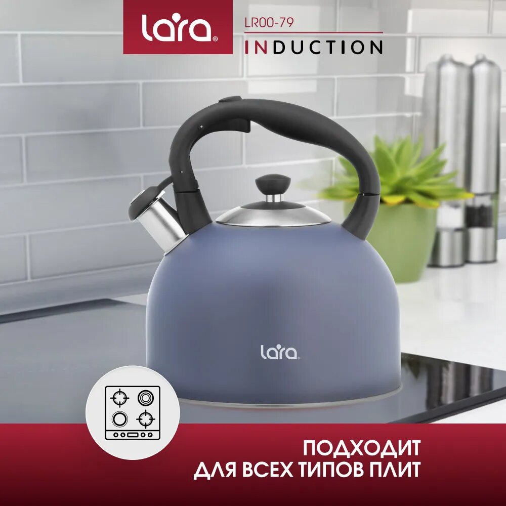 Чайник Lara LR00-79 индукционный 4.5 л из нержавеющей стали со свистком для всех типов плит — фото 1