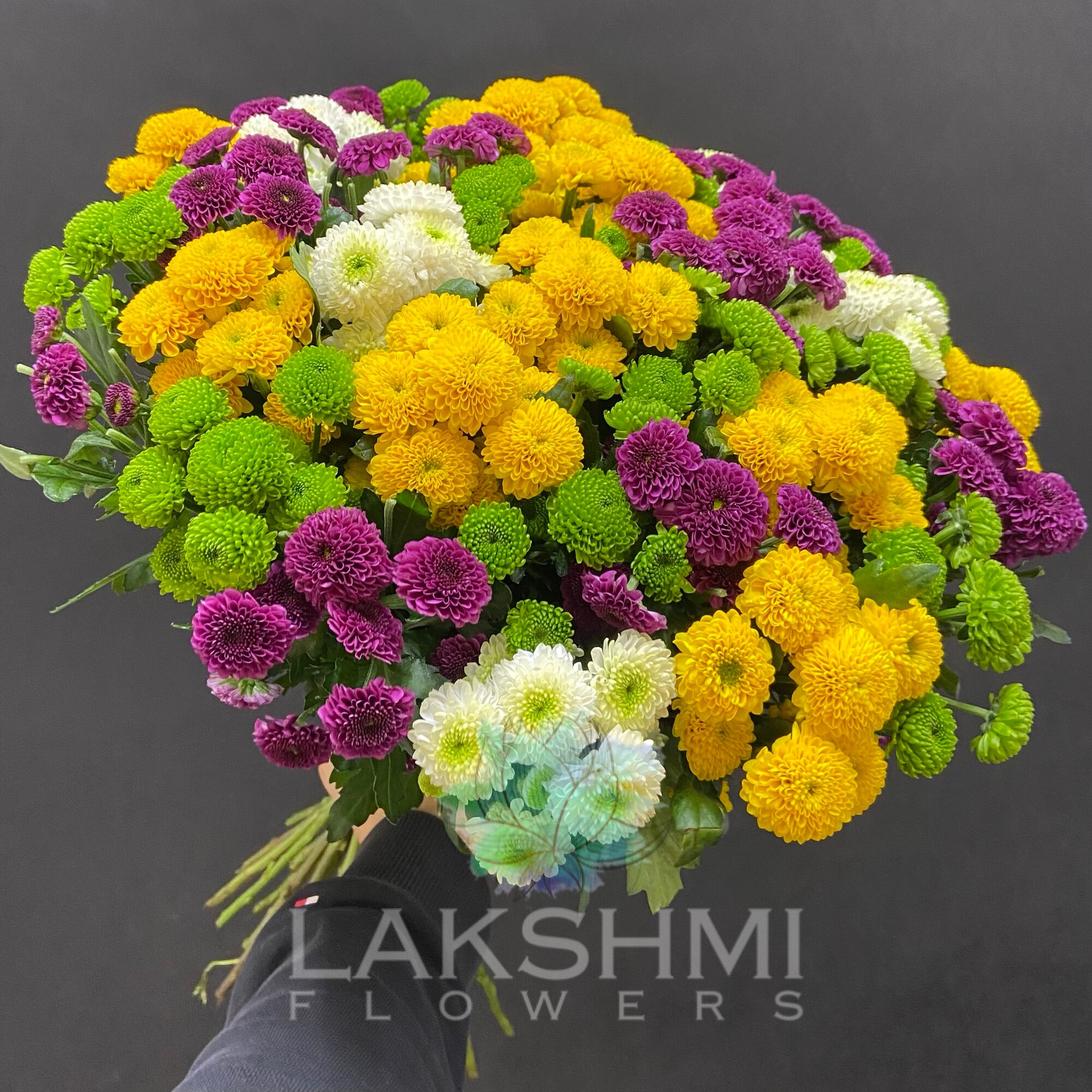 Кустовые хризантемы / Букет из 25 кустовых хризантем микс сорта «Сантини» под ленту