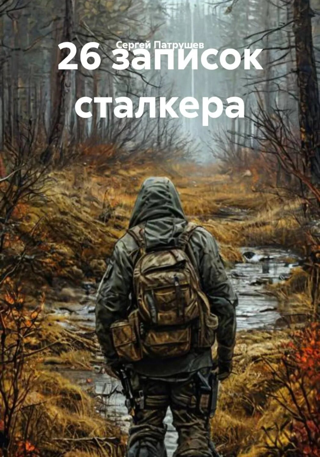 26 записок сталкера [Цифровая книга]
