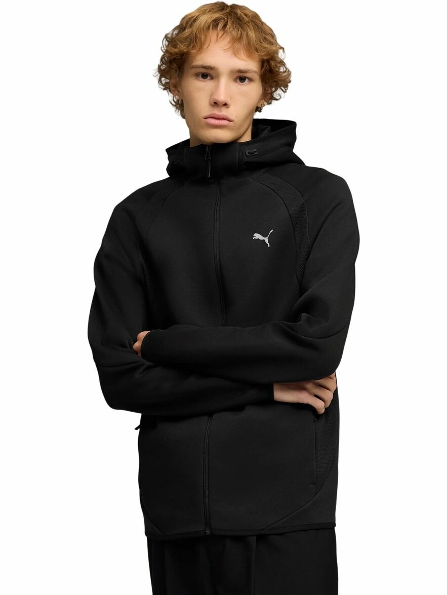 Толстовка спортивная EVOSTRIPE FZ Hoodie DK
