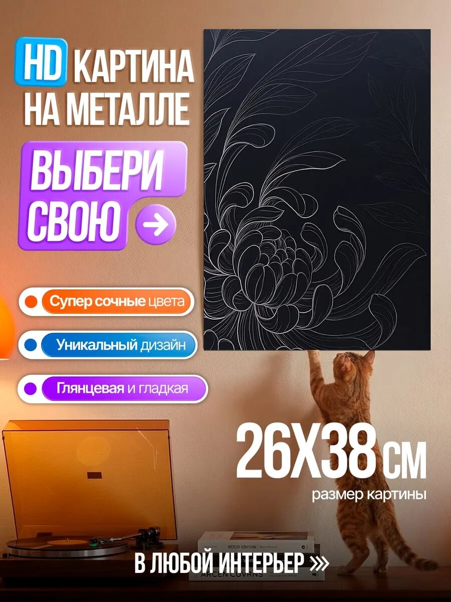 Картина на HD металле Цветок хризантемы контур