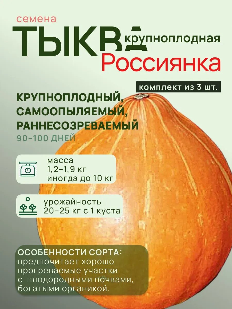 Семена тыквы крупноплодная сорт "Россиянка", раннеспелый, 3 пачки