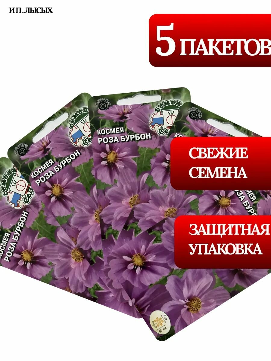 Семена Космея "Роза Бурбон"