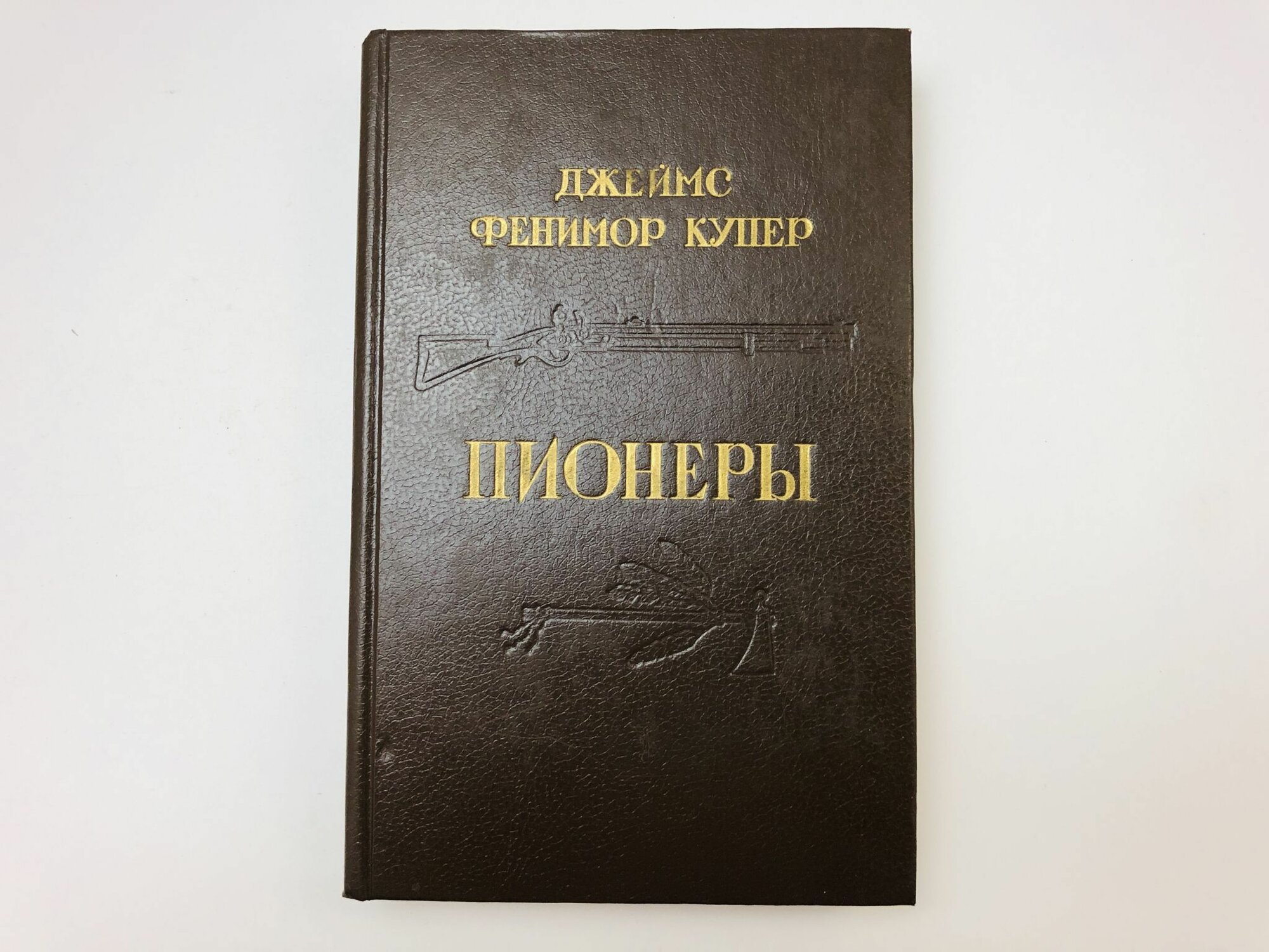 Пионеры, или У истоков Саскуиханны. Роман