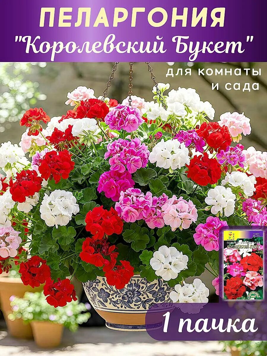 Семена комнатной пеларгонии «Королевский букет» – цветы для дома, балкона и кашпо