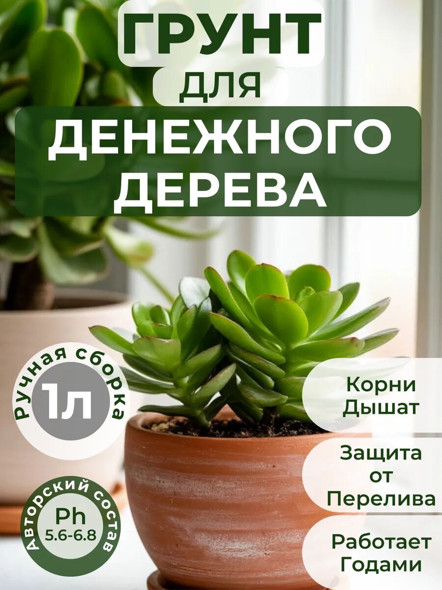 Готовый авторский грунт для Денежного дерева, премиум 1 л