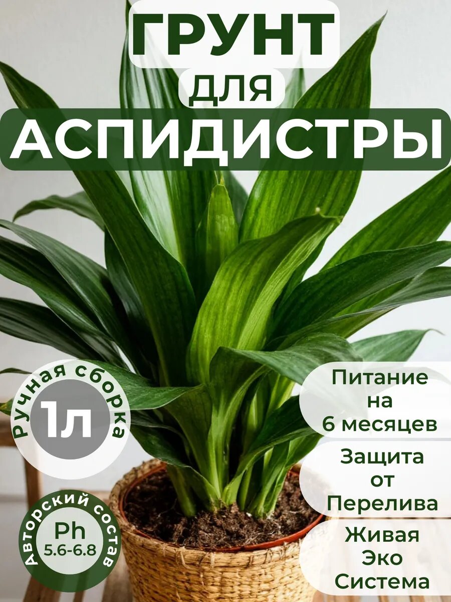 Готовый авторский грунт для Аспидистры, премиум 1 литр