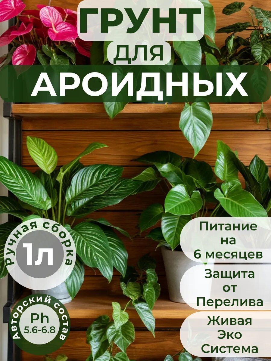 Готовый авторский грунт для Ароидных, премиум 1 литр
