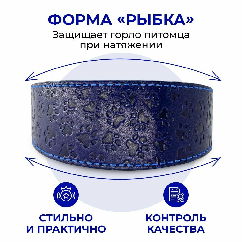 Ошейник для собак мелких пород из натуральной кожи Для прогулки Выставочный 27-33 см