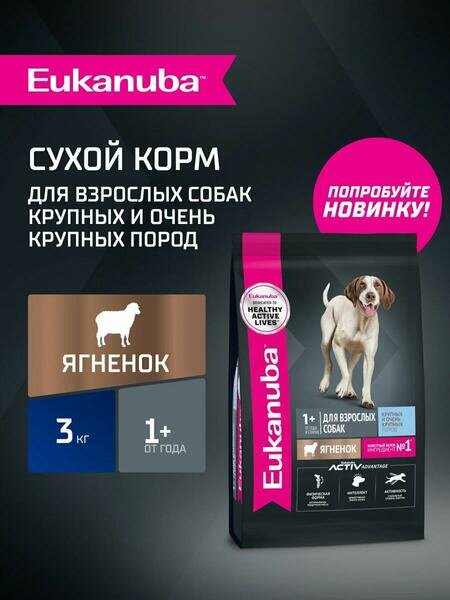 EUKANUBA 2 штуки по 3 кг корм сухой полнорационный, для взрослых собак крупных и очень крупных пород старше 1 года с ягненком