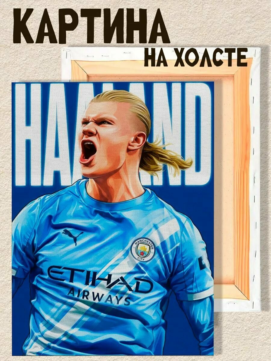 Картина на стену Холланд футболист, на подрамнике, 1шт, 25х17 размер.