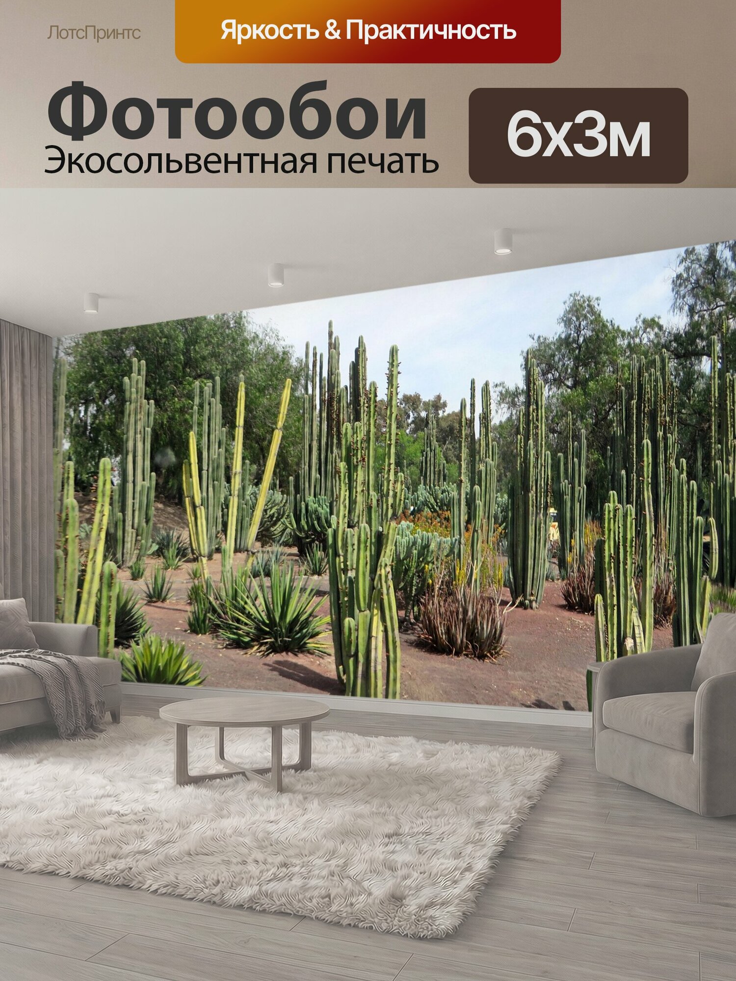 Фотообои "Мексика, кактус, сад" 600x300 см. экосольвентная печать