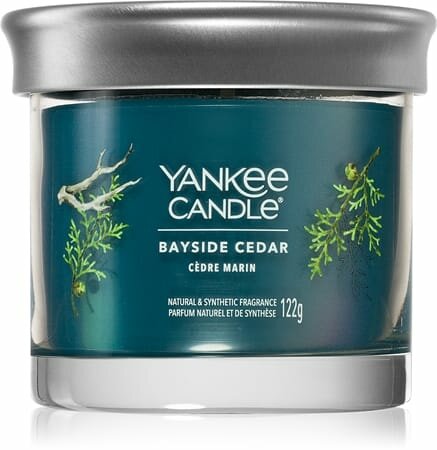 Свеча Yankee Candle Bayside Cedar, синий, 122 г