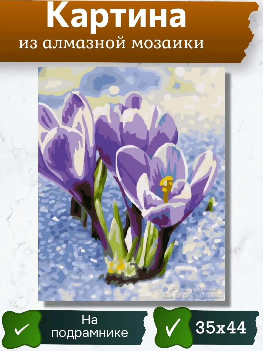 Алмазная мозаика на подрамнике 35х44