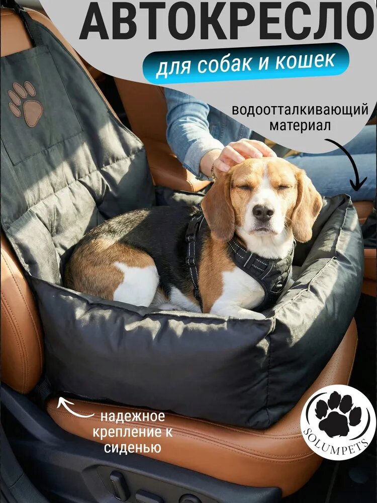 Автокресло для собак мелких пород