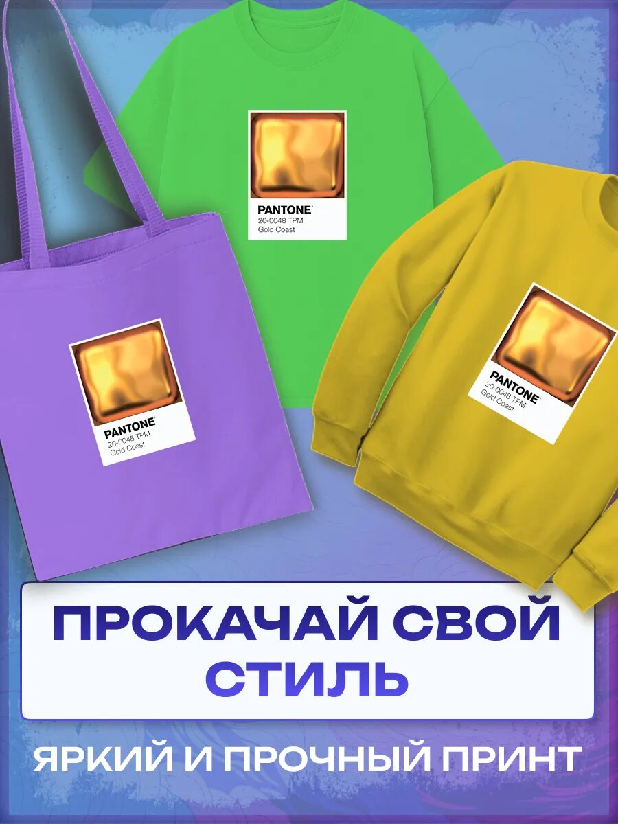 Термонаклейка pantone — фото 1