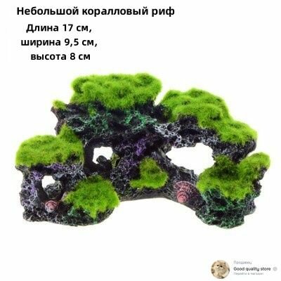 Скопление коралловых рифов; украшение аквариума для рыб