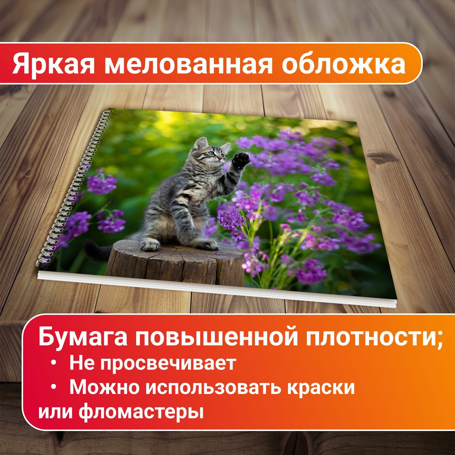 Альбом для рисования Котик — фото 1