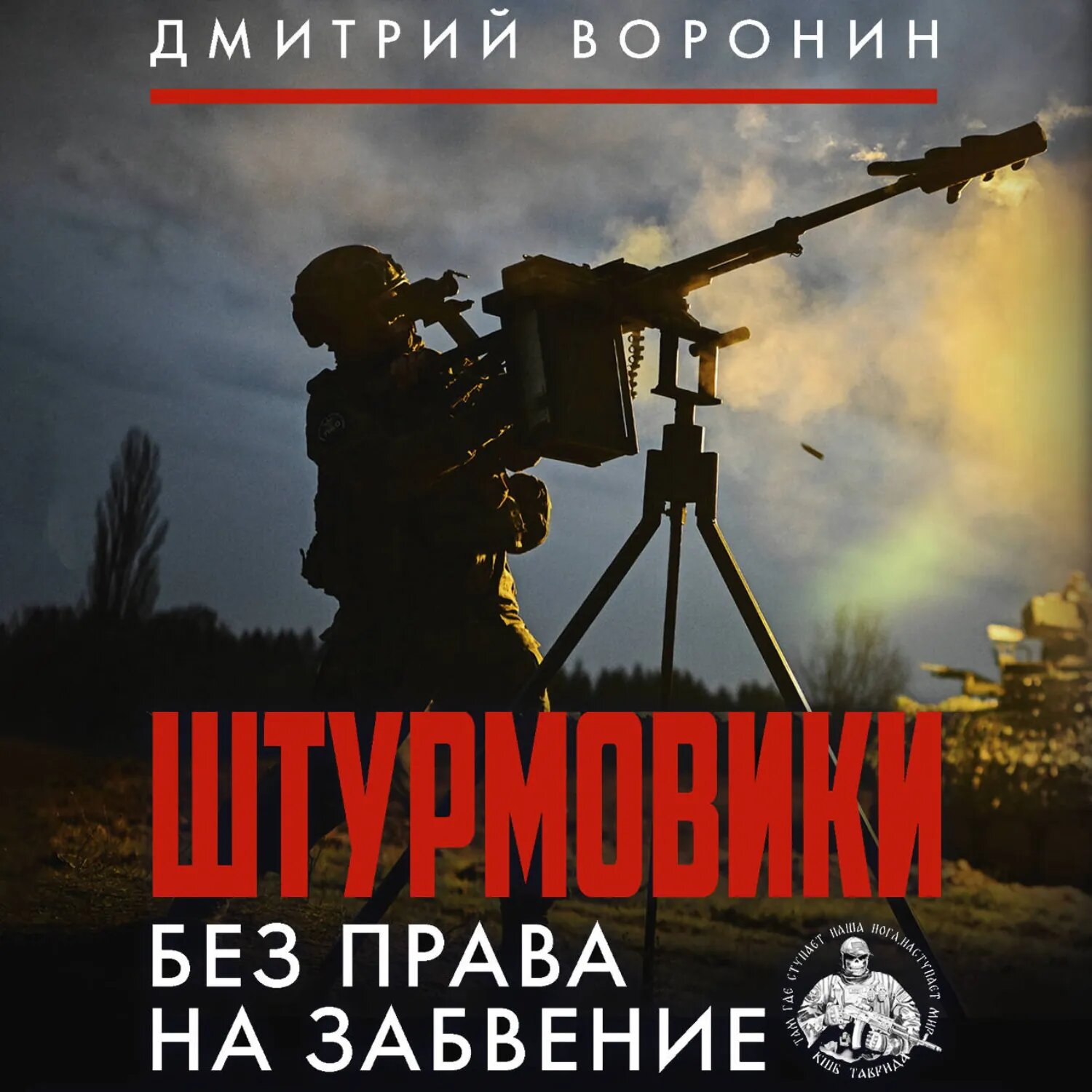 Штурмовики. Без права на забвение [Аудиокнига]
