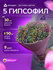 Монобукет , гипсофила микс, в дизайнерской упаковке, высота 50-60...
