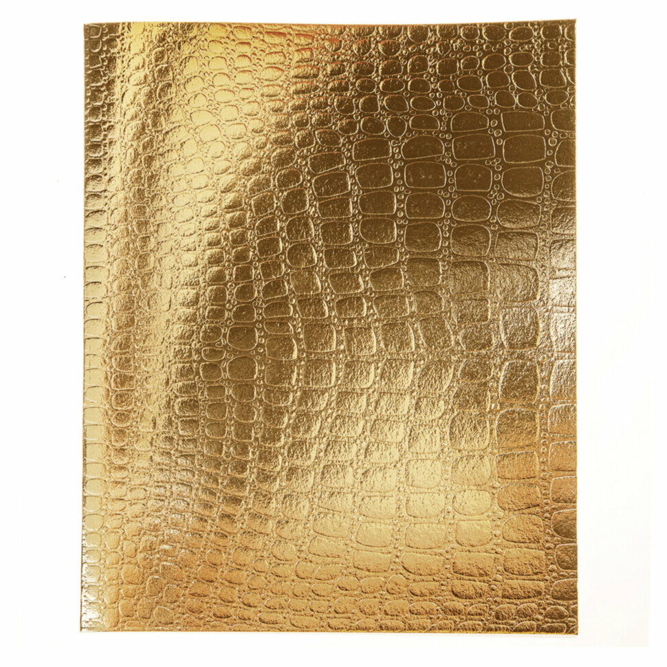 Тетрадь бумвинил А5 48 л, скоба, офсет №1, клетка, с полями, "золото Metallic", CROCO, HATBER, 065833, 48Т5бвВ1, 405488