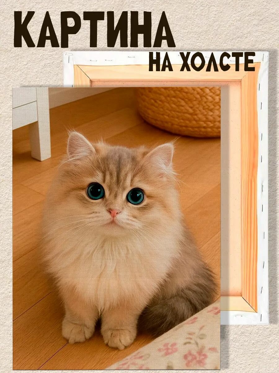 Картина на стену Милые котики, на подрамнике, 1шт, 55х38 размер.