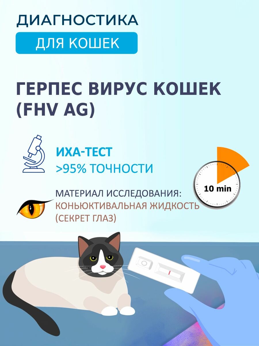 Экспресс-тест на вирус герпеса кошек (Feline Herpesvirus, FHV) QBQVET,1шт